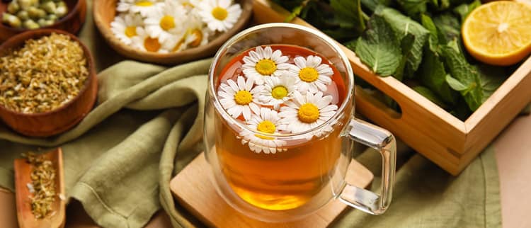 Plantas Medicinais para uma Digestão Saudável